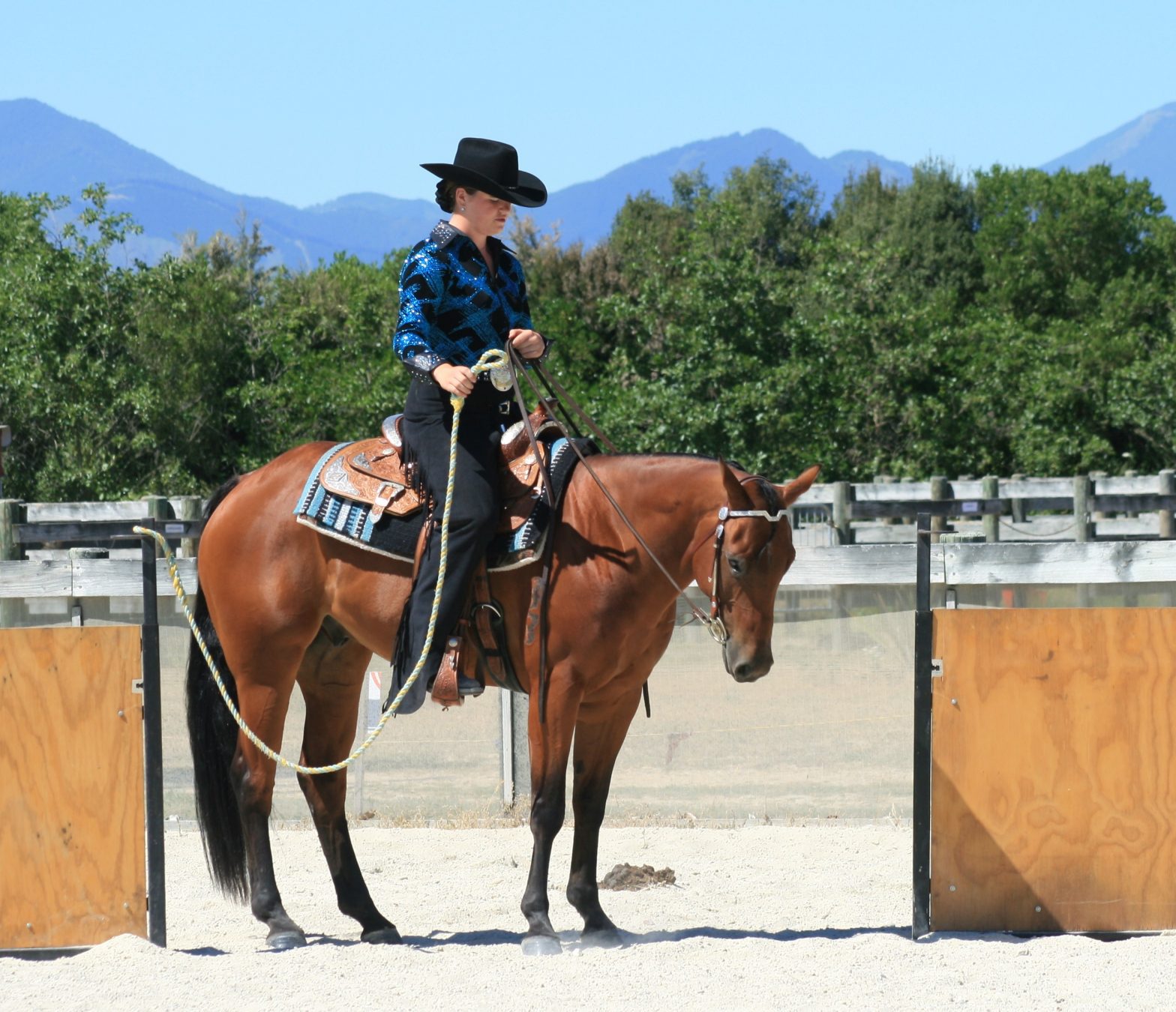 Loyal and georgia 019 | Quarter Horse